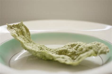 Space10s Algae Dome Imagines A Future Where Buildings Produce Food