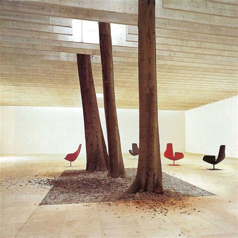 Tree Interior Design