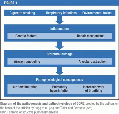 Copd Pathophysiology Flowchart