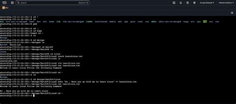 Aws Linux Devops Cloudcomputing Techlearning Awsec2 Handson Mahesh Gadhave