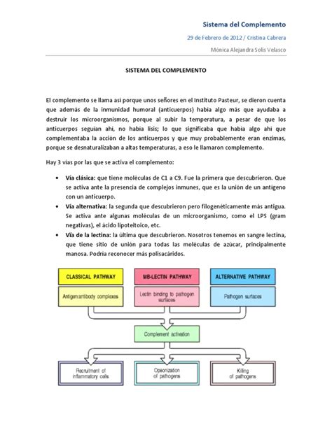 Sistema Del Complemento Pdf Sistema Complementario Biologia De Sistemas