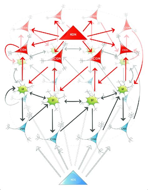 Proposed Ring Attractor In The Superficial Layers Of The Entorhinal Download Scientific