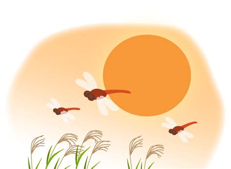 秋 イラスト おしゃれ 13 Png画像集