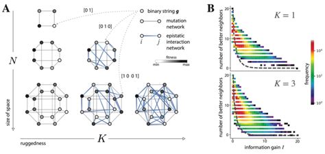 Tuneably Rugged Combinatorial Surfaces Model Complex Statistical Download Scientific Diagram