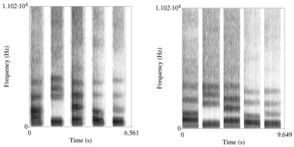 Spectrograms Plot Time On The X Axis Frequency On The Y Axis And Download Scientific Diagram