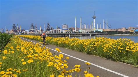 가람재가노인지원센터 제 목 계절별 안전교육겨울철 안전예방 교육 진행 일 시 2017 03 21 ~ 03 28 장 소 각 대상자 댁내 인 원