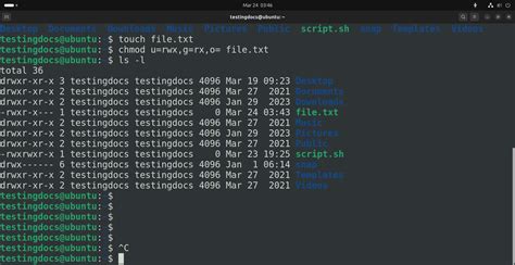 Linux Chmod Command Testingdocs