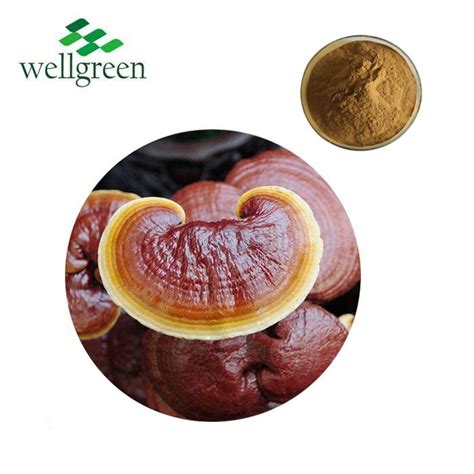 Natural Food Supplements Ganoderma Lucidum Polysaccharide Ganoderma