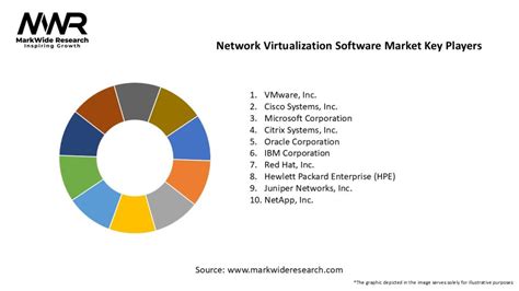 Network Virtualization Software Market Analysis Industry Size Share