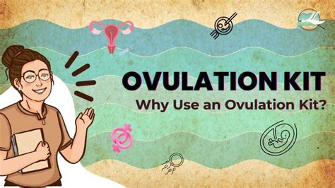 Ovulation Kit A Comprehensive Guide To Tracking Your Fertility IVFix