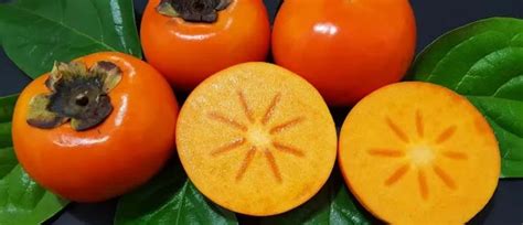 Como Cultivar Muda De Caqui Fuyu Enxertada Mondini Plantas