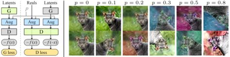 Training Generative Adversarial Networks With Limited Data Research