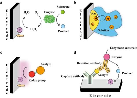 Scheme 3 Schematic Illustration Of Different Types Of Electrochemical Download Scientific