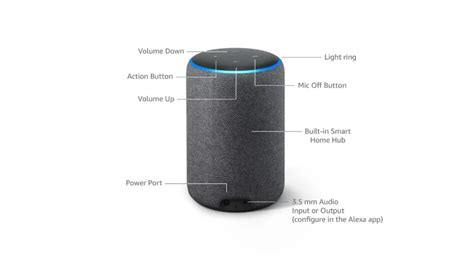 How To Reset Amazon Echo Devices Definitive Guide