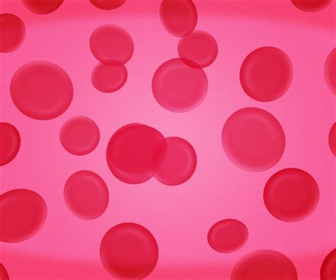 Dr Roland Assi Appointed Medical Director Of Perfusion For Ynhhs Heart