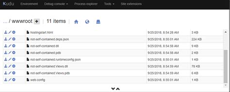 What Is Self Contained Deployment Mode Works Locally But Not After