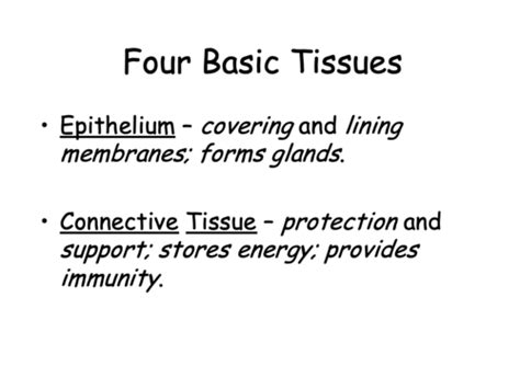 Epithelial Tissue And Connective Tissue Flashcards Quizlet