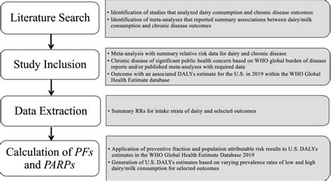 Overview Of Methodological And Analytical Protocol Download