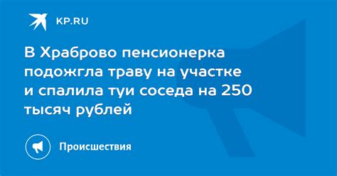 В Храброво пенсионерка подожгла траву на участке и спалила туи соседа на 250 тысяч рублей Kp Ru