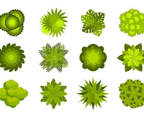 Architechture Tree Plan Element Set Vector Art And Graphics