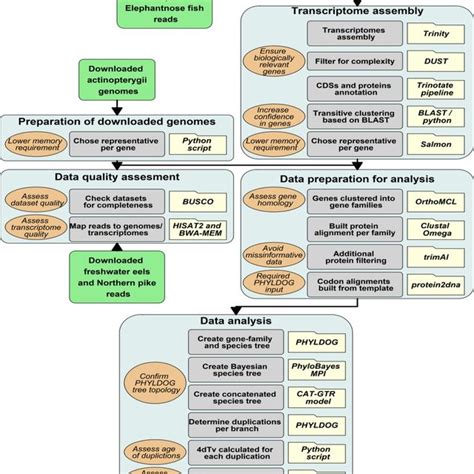 Methodology Pipeline Of The Bioinformatics Methodology Folders