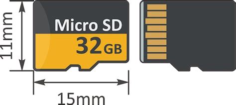 Premium Vector Microsd Memory Card Size