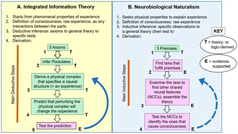 entropy information theory mzaersport