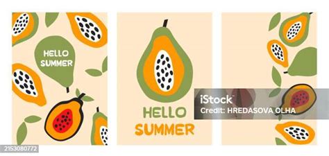 플랫 스타일의 세련된 여름 포스터 파파야 세트 밝은 과일 구성 전단지 포스터 배너 플래카드 브로셔 디자인 세트 안녕하세요 여름 과일 조각이 있는 배경입니다 벡터 가리기에