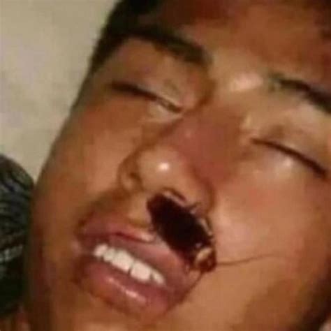 Stream Monkey Assault Demo Cut By Anomatek Listen Online For Free