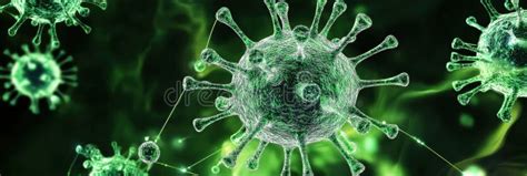 Viruses Invade And Replicate Within Host Cells Causing Cellular Disruption And Immune Response