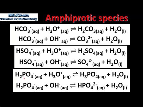 Amphoteric Examples
