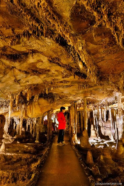 Lehman Caves Tours Great Basin National Park What You Need To Know