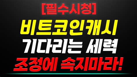 필수시청 비트코인캐시 기다리는 세력 조정에 속지마라 비트코인캐시 비트코인캐시전망 Youtube
