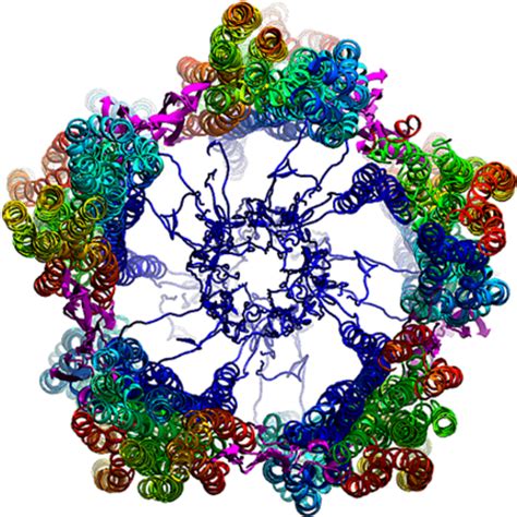 Pdb Ihm Validation Report