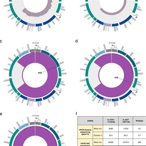 Cas9 Mtdna Enrichment Barcoding Pooling And Demultiplexing Approach