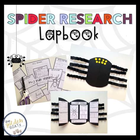 Spider Lapbook Research Project Ela Activities Elementary Writing