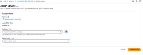 aws tutorial attaching one ebs volume to multiple ec2 instances