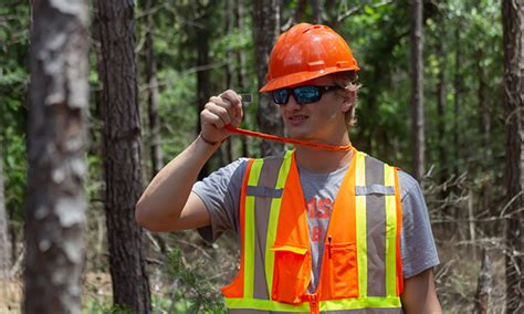 How To Conduct A Timber Cruise Land Grant Press