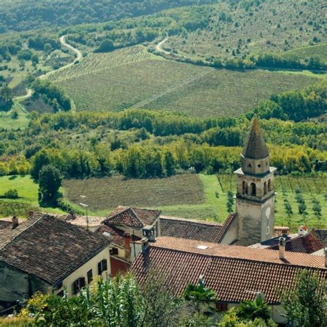 Cycling In The Istrian Wine Region
