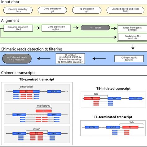 A Total Chimeric Transcripts Detected By Chimerate Mode 1 And
