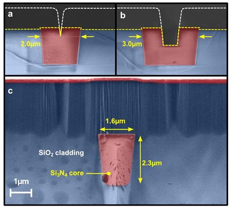 Cross Sections Showing The Thick Waveguide Fabrication