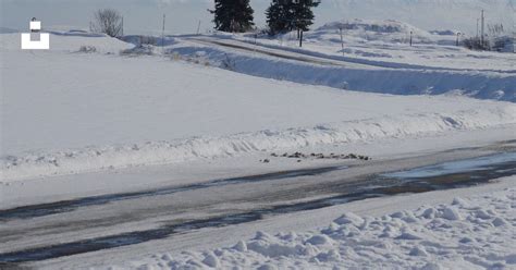 나무와 산을 배경으로 눈 덮인 들판 사진 Unsplash의 무료 겨울 이미지