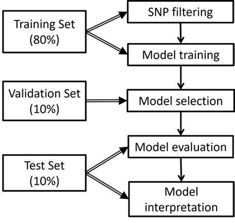 Computational Workflow Of Predictive Genomics The Drive Dataset Was Download Scientific