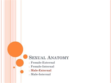 PPT Sexual Anatomy PowerPoint Presentation Free Download ID