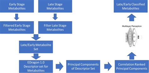 Block Diagram Of Machine Learning Classifier Development Strategy Download Scientific Diagram