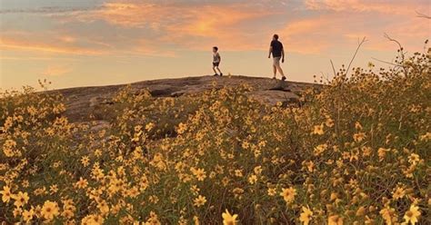 Fall Into Dekalb Your Ultimate Guide To Autumn Adventures Discover