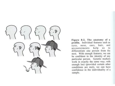 PPT DNA Analysis PowerPoint Presentation Free Download ID 4784679