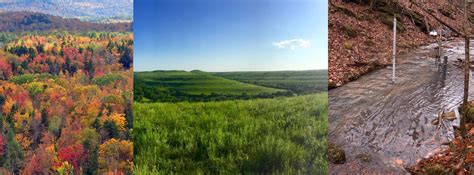 Phenocams Nsf Neon Open Data To Understand Our Ecosystems