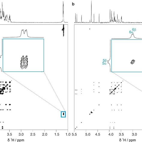 Comparison Of 2d Spectra Obtained Using A Conventional Tocsy And B