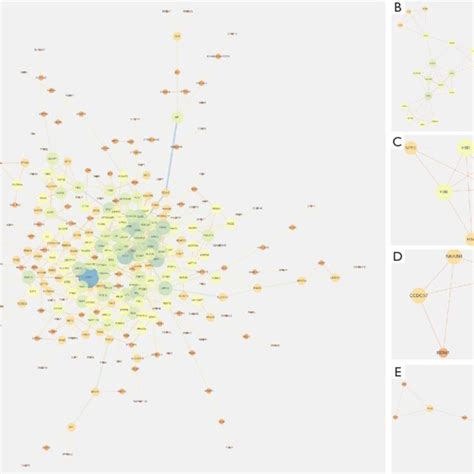 Ppi Analysis A The Ppi Network Of Degs From The Gse106724 Dataset